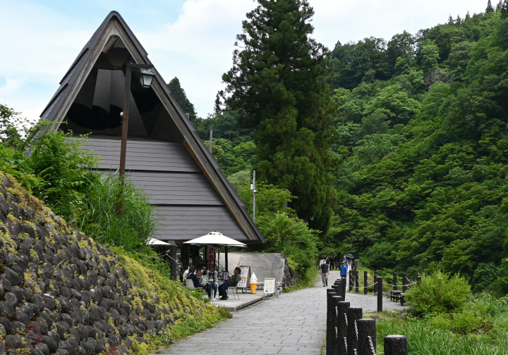 清津峡渓谷トンネル: 花ぐるめ